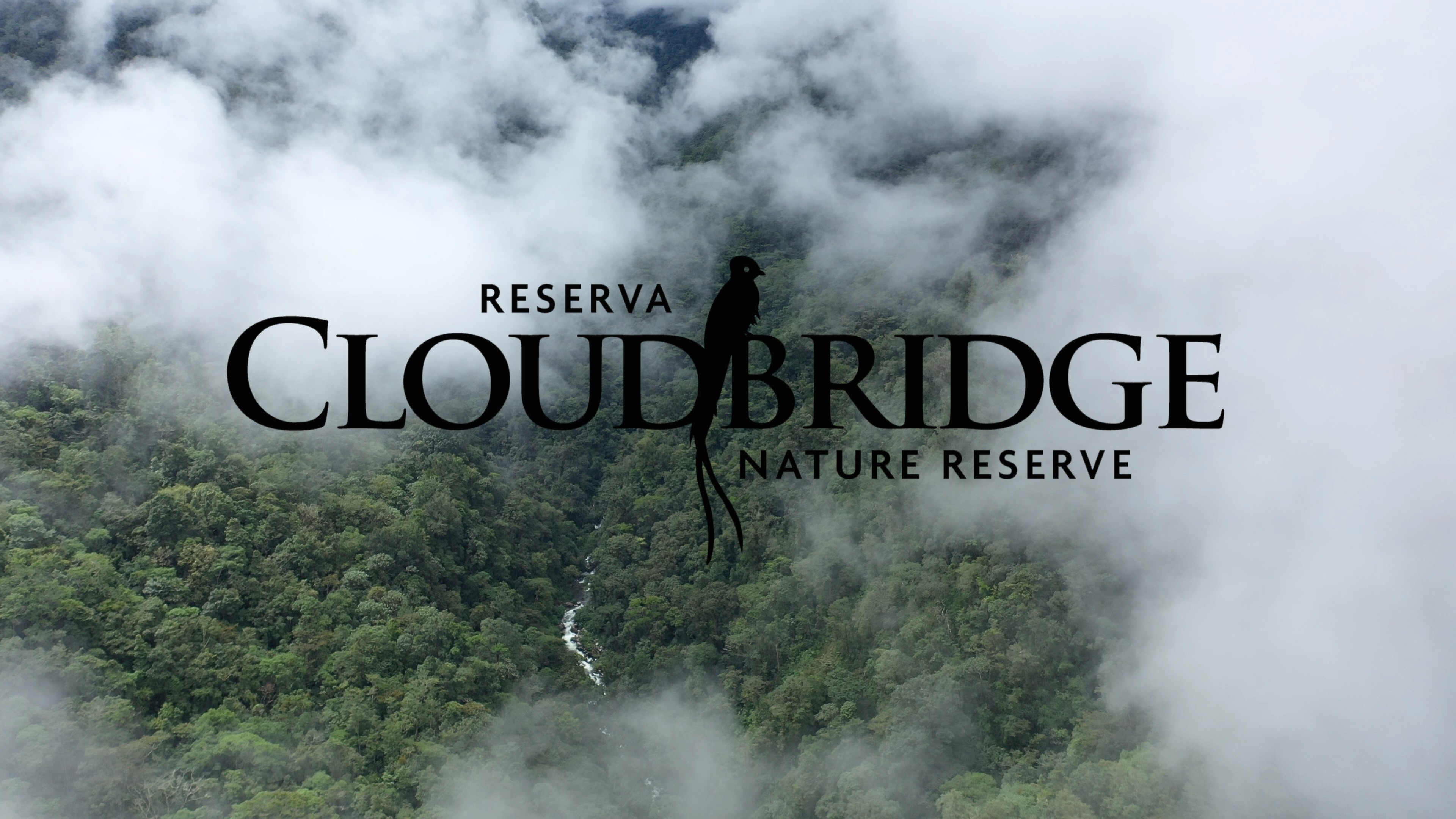 Cloudbridge video | Cycle Generation